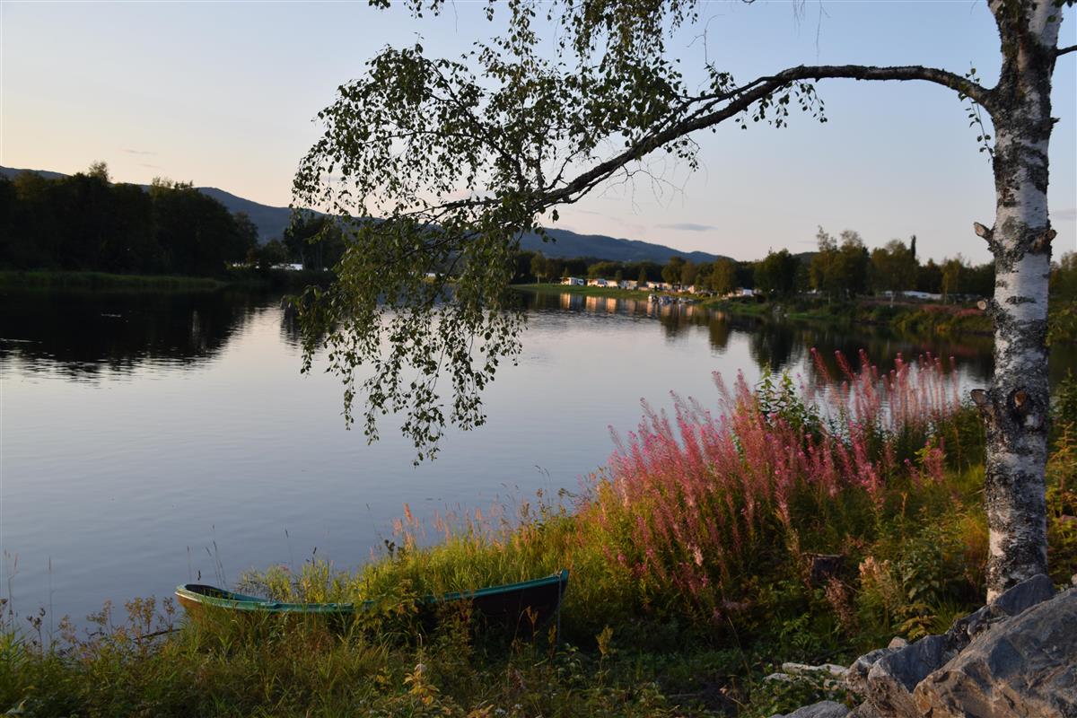 Flytte til Selbu? - Selbu kommune